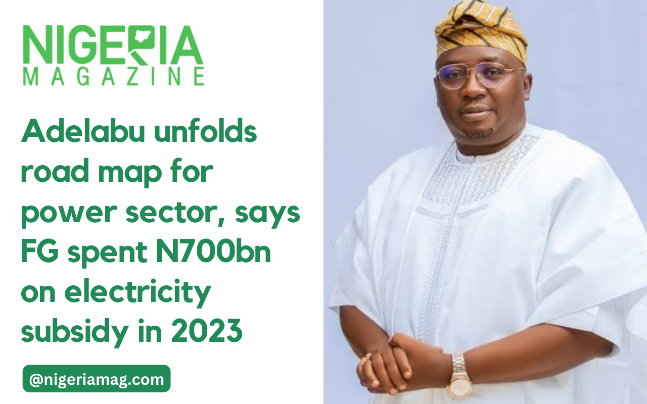 Minister of Power Adebayo Adelabu highlighted the Federal Government's ...