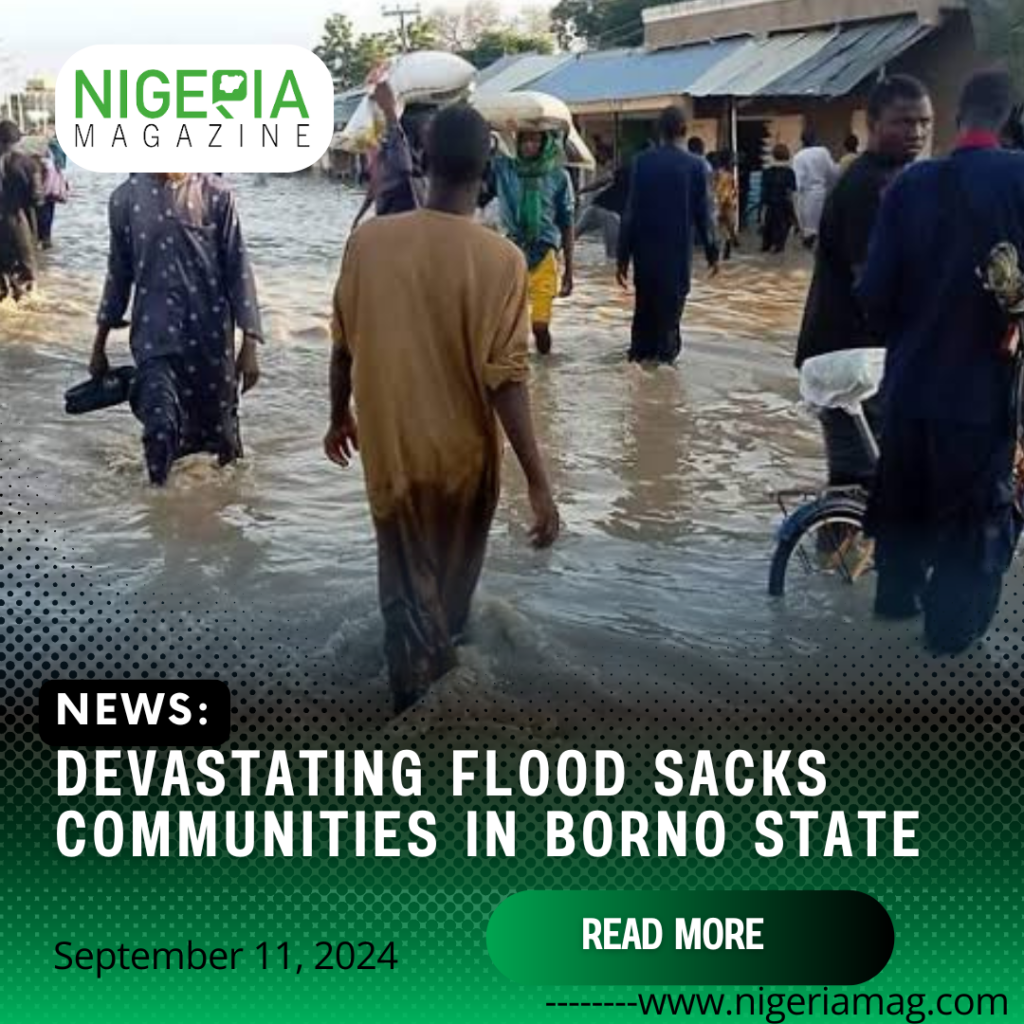 Devastating flood sacks communities in Borno State - NigeriaMag